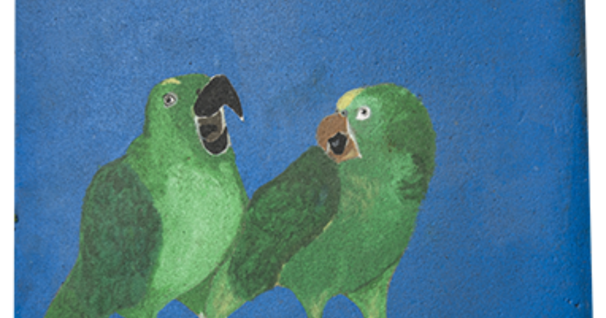 Avenue Of Art - Chalk Festival | Parrots