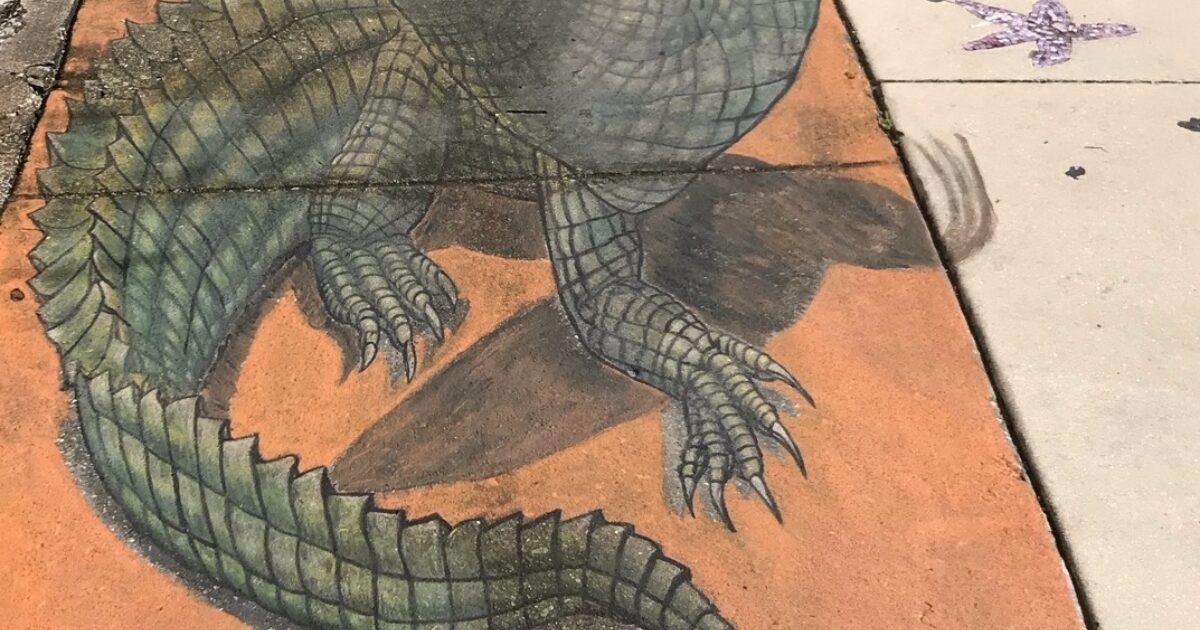 Avenue Of Art - Chalk Festival | Alligator - 3D Illusion
