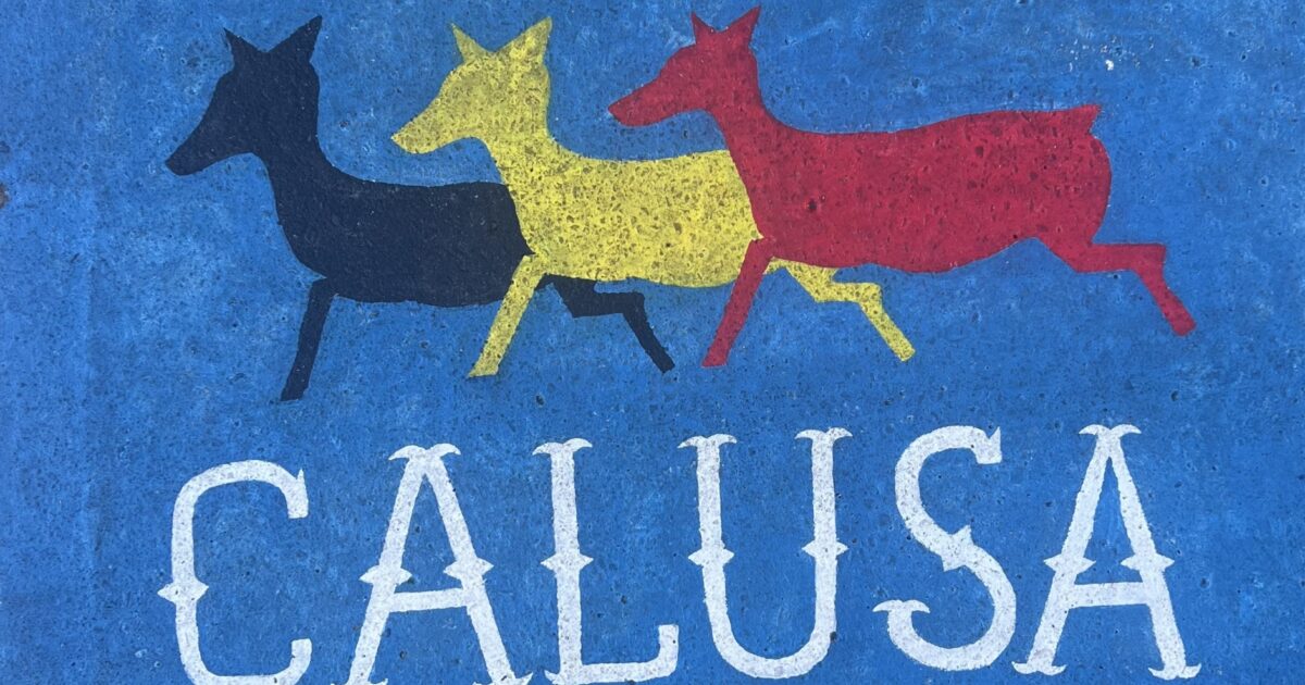 Avenue Of Art - Chalk Festival | Calusa Deer